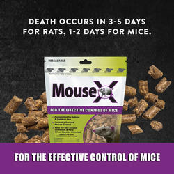 RatX® MouseX® Mouse Control Pellets at Menards®