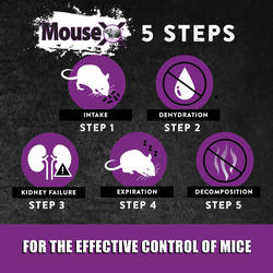 RatX® MouseX® Mouse Control Pellets at Menards®