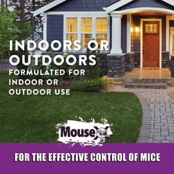 RatX® MouseX® Mouse Control Pellets at Menards®