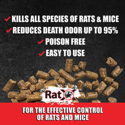 RatX® Rat & Mouse Ready-to-Use Bait Tray at Menards®