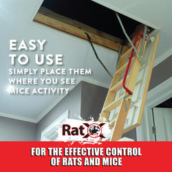 RatX® Rat & Mouse Ready-to-Use Bait Tray at Menards®