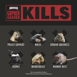 Amdro® Gopher Gasser - 6 Pack at Menards®