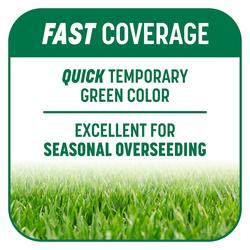 Pennington® Kwik Grass® Seed - 3 lbs. at Menards®