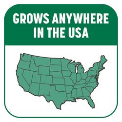 Pennington® Kwik Grass® Seed - 3 lbs. at Menards®