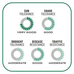 Pennington® Kwik Grass® Seed - 3 lbs. at Menards®