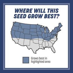 Pennington® Kentucky Blue Grass Seed - 3 lbs. at Menards®