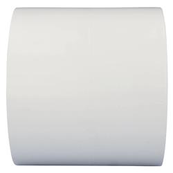 Charlotte Pipe and Foundry 10" Hub DWV PVC Coupling at Menards®