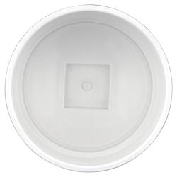 Charlotte Pipe and Foundry 8" Hub PVC Female Adapter with Cleanout Plug ...