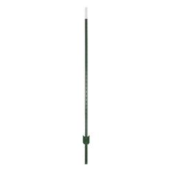7' Studded T Post 1.25# at Menards®
