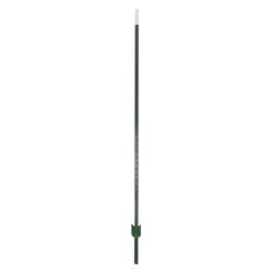 8' Studded T Post 1.25# at Menards®