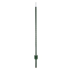 6' Studded T Post 1.25# at Menards®
