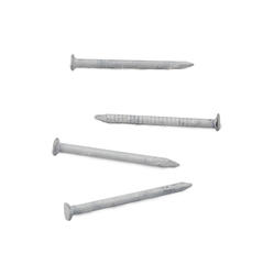 Bulldog® 1" White Panel Board Nail - 2 oz. at Menards®