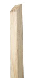 AC2® 2 x 2 x 48 Green Pressure Treated Beveled One End Spindle at Menards®