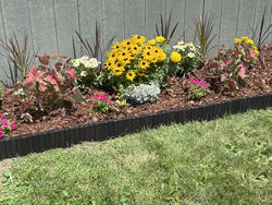 Redy-Edge 3' Wood Lawn Edging at Menards®