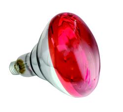 Pinegreen Lighting® 250 Watt Red BR40 E26 Incandescent Heat Lamp Light ...