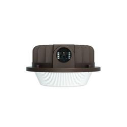 Patriot Lighting® Dusk to Dawn LED Outdoor Security Area Light at Menards®