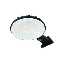 Patriot Lighting® Black Solar-Powered Outdoor Security Area Light at ...