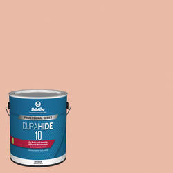 Dutch Boy® Professional DuraHide™ 10 Interior Flat Sunset Terracotta ...