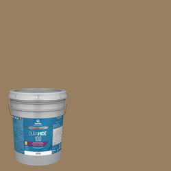 Dutch Boy® Professional DuraHide™ 100 Interior Eggshell Brown Trout ...