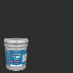 Dutch Boy® Professional DuraHide™ 100 Interior Eggshell True Black ...