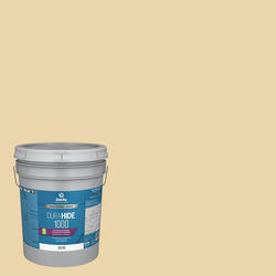 Dutch Boy® Professional DuraHide™ 1000 Interior Eggshell Yellow Bloom ...