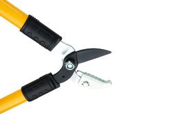 Yardworks® 24" Anvil Lopper at Menards®