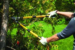 Yardworks® Ratcheting Anvil Lopper with Telescopic Handles at Menards®