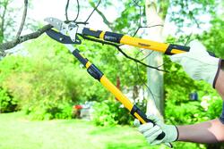 Yardworks® Ratcheting Anvil Lopper with Telescopic Handles at Menards®