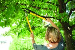 Yardworks® Bypass Lopper at Menards®