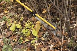 Yardworks® 22" Adjustable Width Steel Rake at Menards®