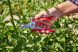 Corona® Mini Floral Snips - Assorted Colors at Menards®