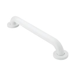 Moen 24" x 1-1/2" Glacier Concealed Screw Grab Bar at Menards®