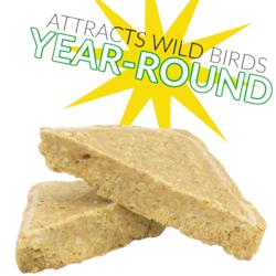 C&S Products® Berry Delight Dough No Melt Bird Suet Cake - 11.75 oz at ...