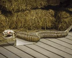 Pumpkin Hollow™ 4'11" LED Snake Skeleton Halloween Décor at Menards®