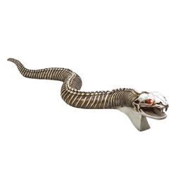 Pumpkin Hollow™ 4'11" LED Snake Skeleton Halloween Décor at Menards®