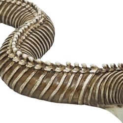 Pumpkin Hollow™ 4'11" LED Snake Skeleton Halloween Décor at Menards®