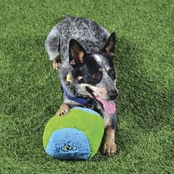 Cycle Dog® Duraplush® Medium Blue/Green FuzzBall Dog Toy at Menards®