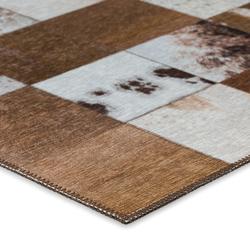 Dalyn Wrangler Driftwood 20" x 30" Area Rug at Menards®
