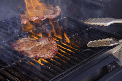 Pit Boss® Competition Series 1250 Wood Pellet Grill at Menards®