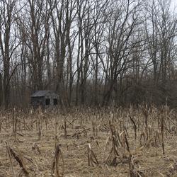 Trophy Slayer 5' x 5' 3-Person Permanent Ground Blind at Menards®