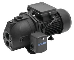 Barracuda® 3/4 HP Convertible Jet Pump at Menards®