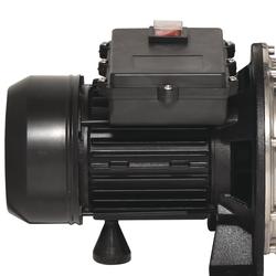 1 HP Portable Stainless Steel Sprinkler Pump at Menards®