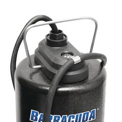 Barracuda® 3/4 HP Cast Iron Submersible Sewage Pump at Menards®