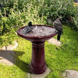 Enchanted Garden™ 21" Purple Ceramic Bird Bath at Menards®