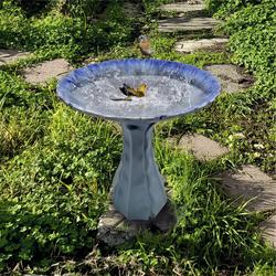 Enchanted Garden™ 19-3/4" Blue Aster Ceramic Bird Bath at Menards®