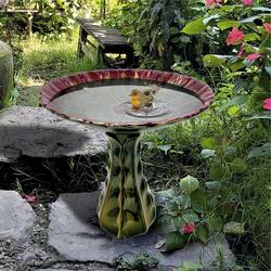 Enchanted Garden™ 19-3/4" Raspberry Aster Ceramic Bird Bath at Menards®
