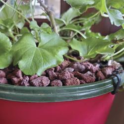 Mosser Lee® Red Lava Rock 1.5 Dry Qt at Menards®