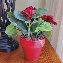 Mosser Lee® Red Lava Rock 1.5 Dry Qt at Menards®