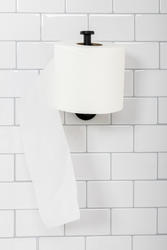 Italia Florence Matte Black Vertical Toilet Paper Holder at Menards®
