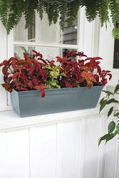 The HC Companies 24" Eclipse Green Plastic Window Box Planter at Menards®
